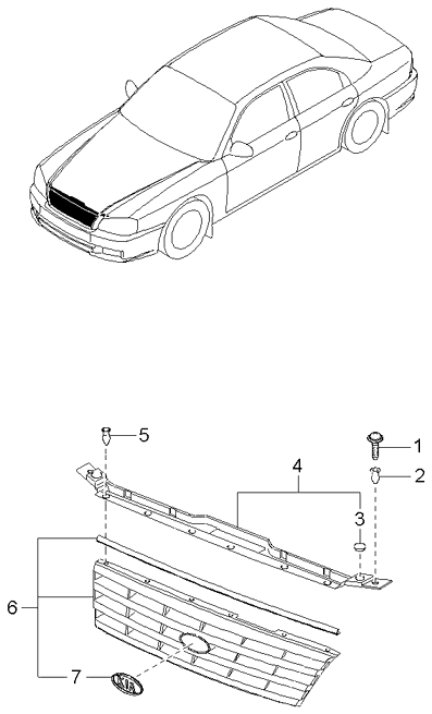 Radiator Grille - 2004 Kia Optima