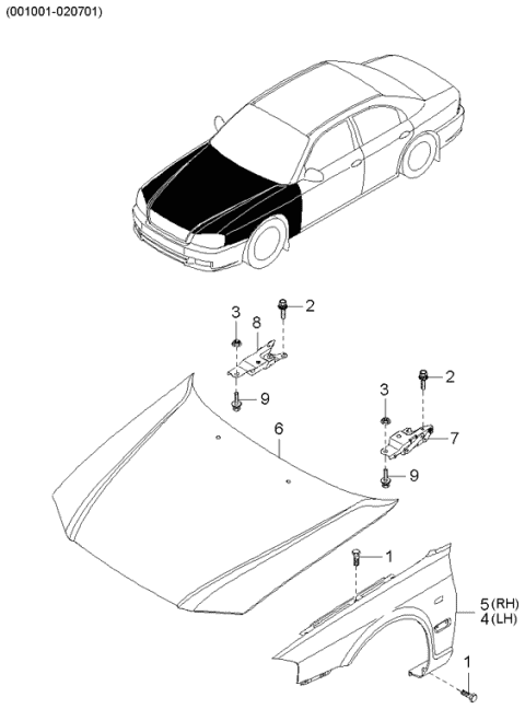 Fender & Hood Panel - 2004 Kia Optima