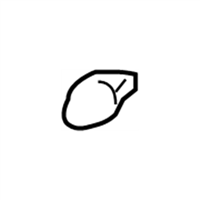 1864316004N - Genuine Kia BULB