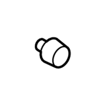 Moulding-Front Door - 2020 Kia Forte